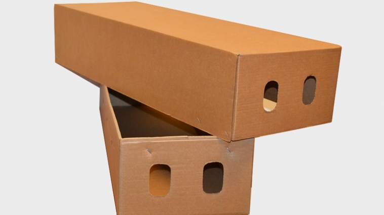 C48 Tobacco Boxes – DPL Kenya